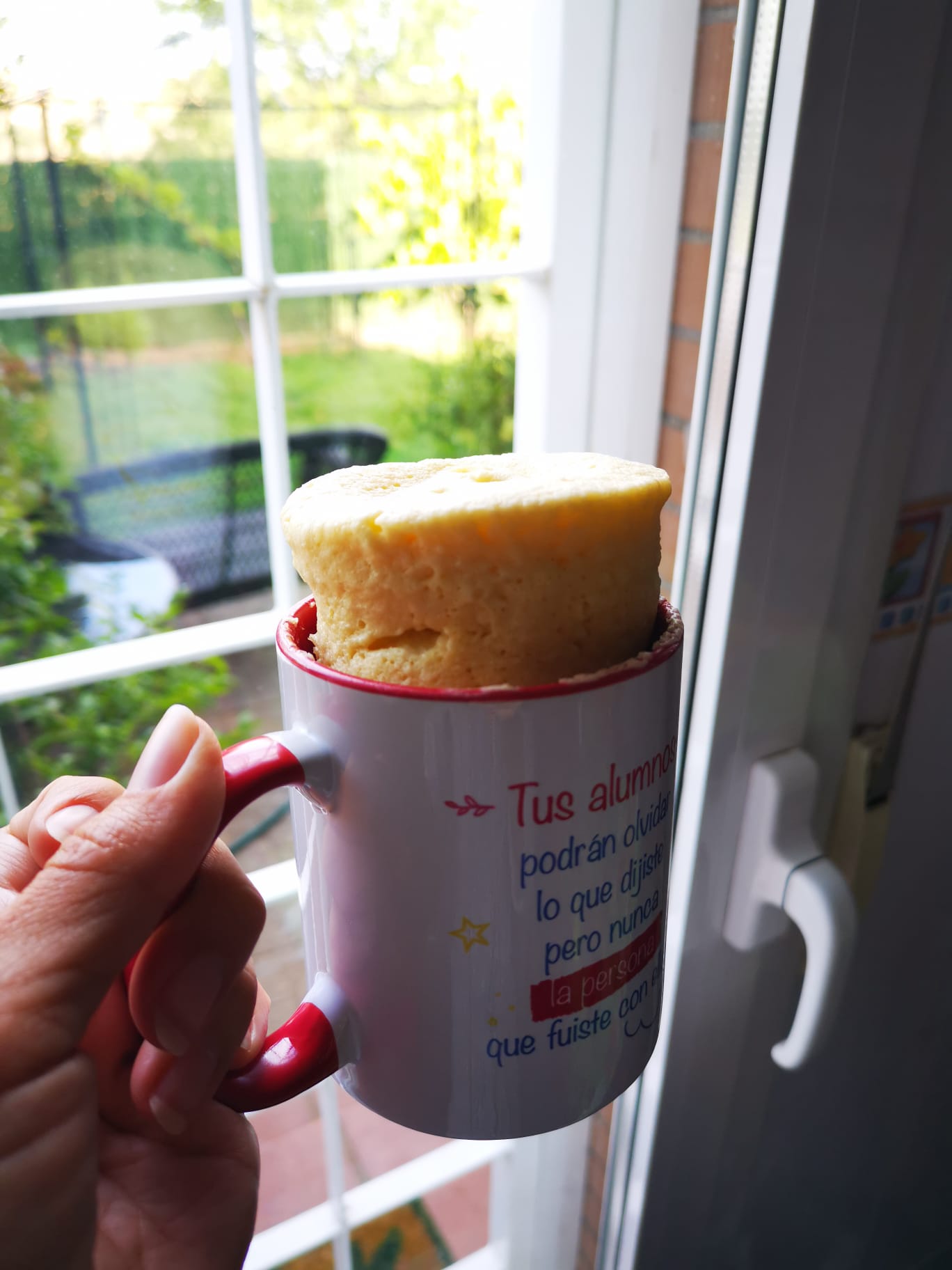 Pan de micro – Aplicando Dieta Fodmap